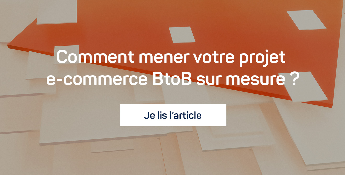 Projet e-commerce BtoB sur mesure • Synolia